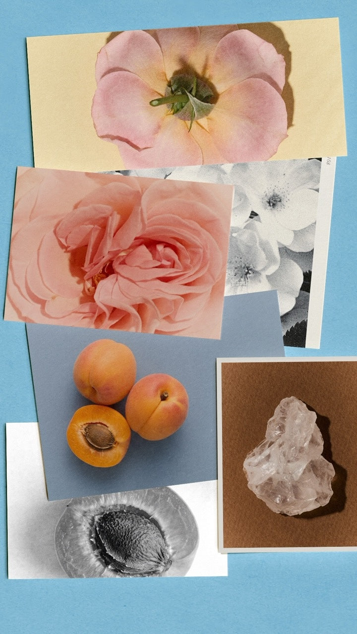 Memo Paris Odéon Rosebud Eau De Parfum